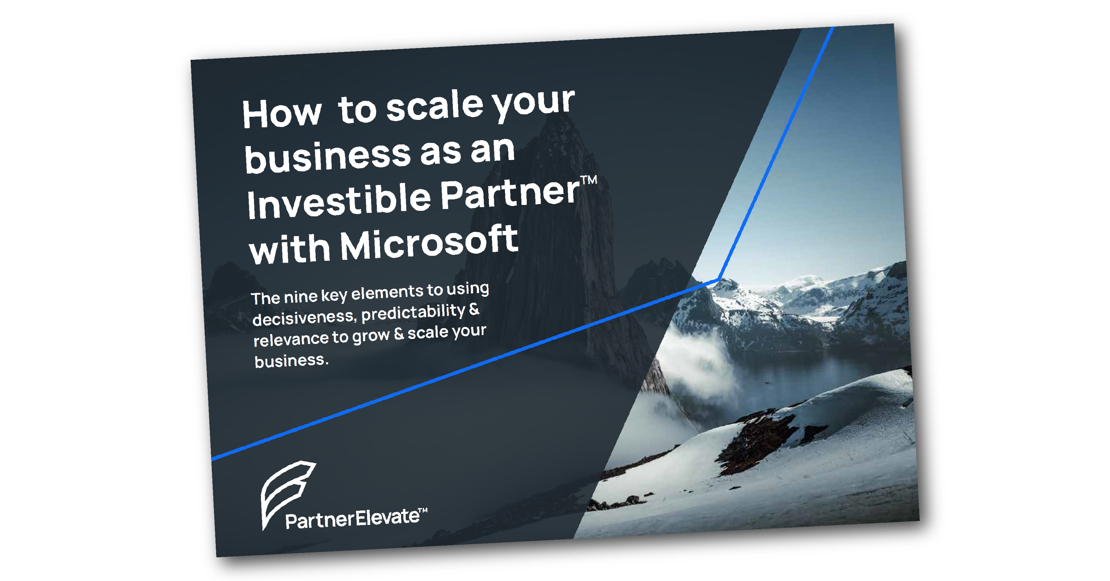 eBook | Investible Partner with Microsoft